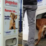 Pugedon, a vending machine de ração onde o pagamento é reciclagem ...